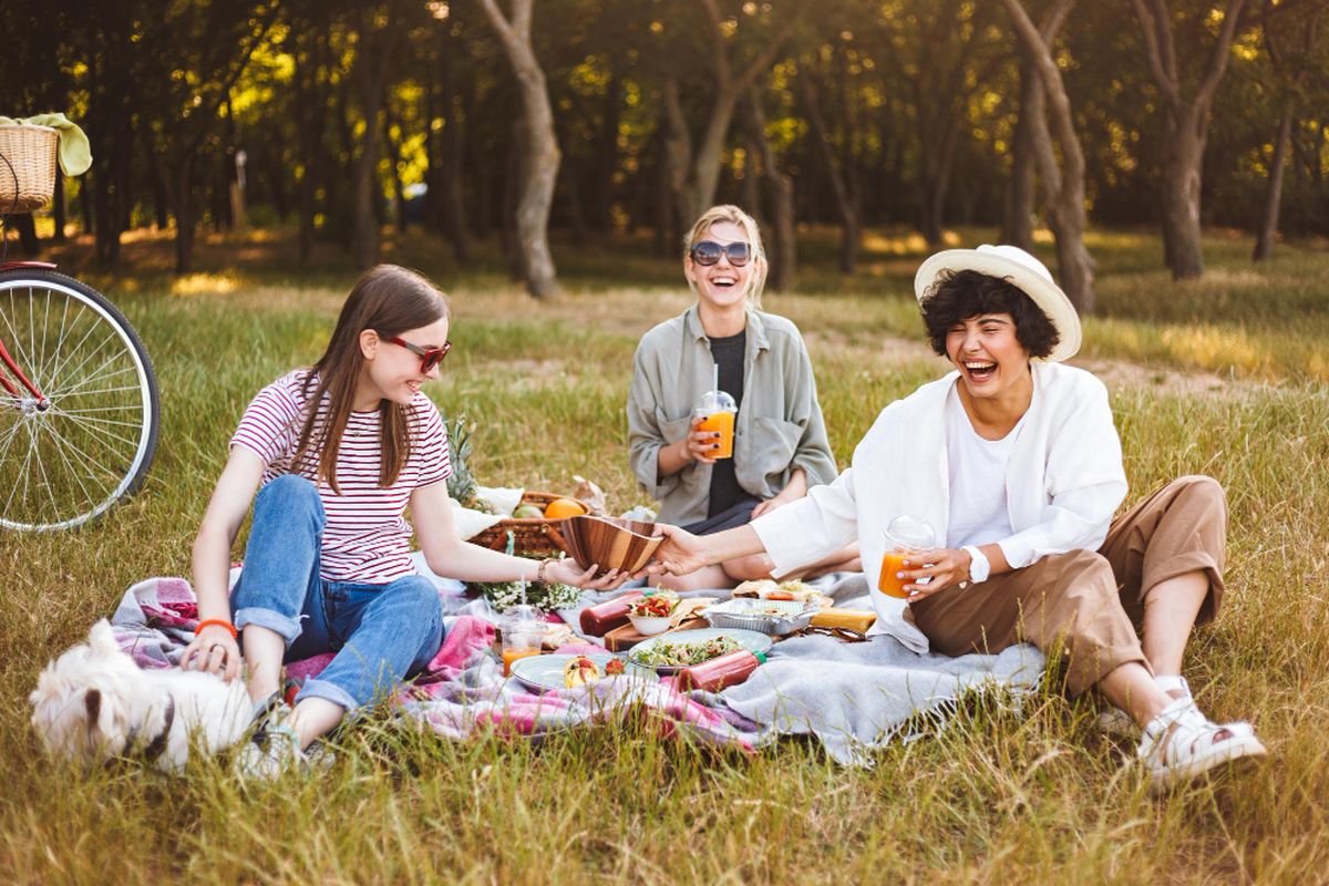 Pack Like a Pro : Picnic Essentials for a Perfect Day Out